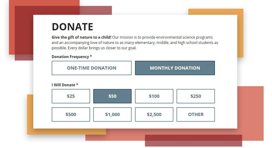 Online Donations: Evaluate and Improve Your Process - Wired Impact