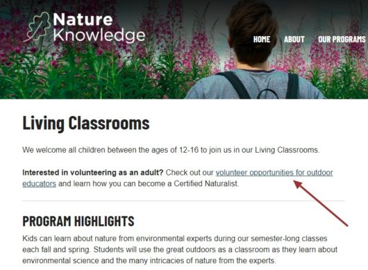 How Does Blogging Work? Getting Started At Your Nonprofit - Wired Impact