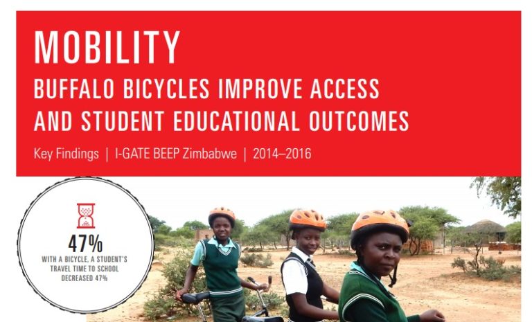 How to Create a Nonprofit Case Study [Template & Examples] - Wired Impact