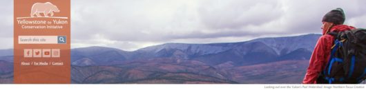 How to Create a Nonprofit Case Study [Template & Examples] - Wired Impact