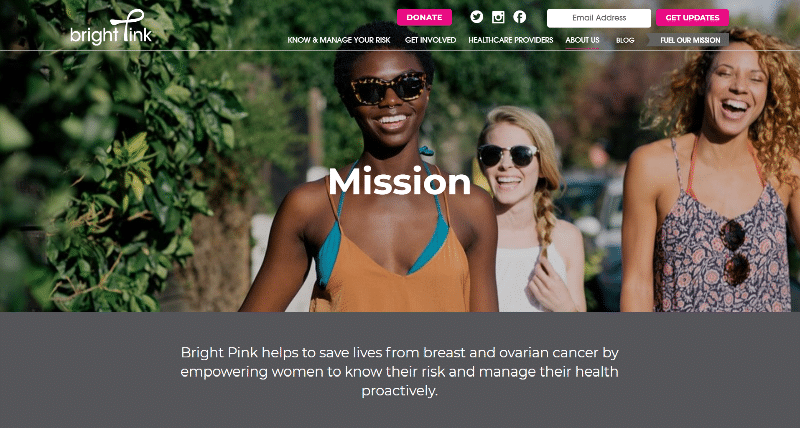 10 Effective Nonprofit Mission and Vision Pages for 2020 - Wired Impact