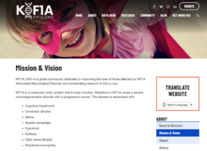 10 Effective Nonprofit Mission and Vision Pages for 2020 - Wired Impact