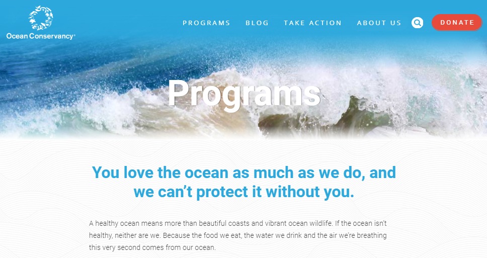 9 Website Content Tips for Environmental Nonprofits - Wired Impact