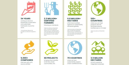 How Can Nonprofits Use Data to Show Impact? 8 Website Ideas & Examples ...